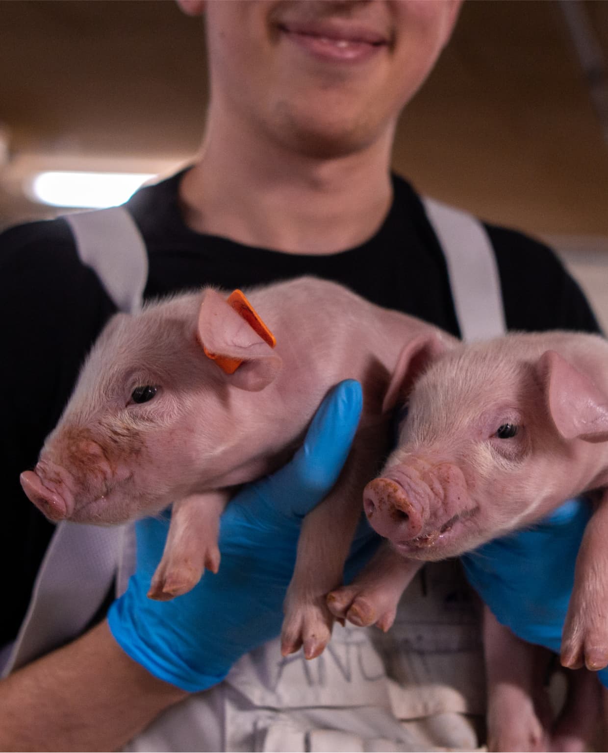 TARGAN Future Projects: Animal Ag Tech for Poultry, Swine, & Aquaculture