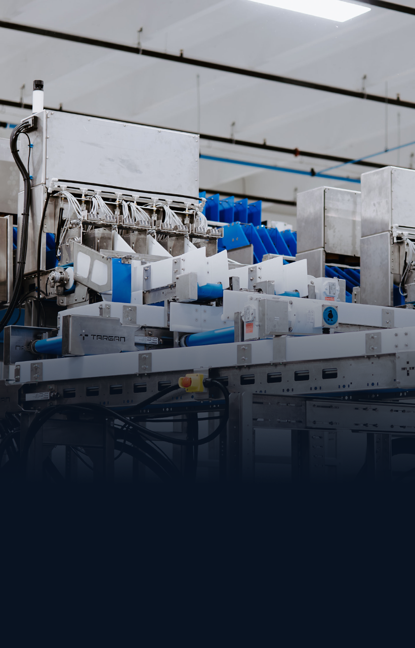 WingScan | Feather Sexing for Broiler Birds Powered by AI Technology